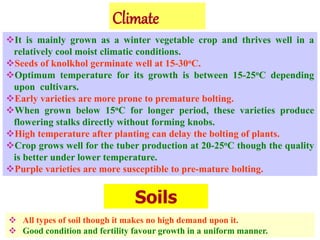 Production technology of knolkol in temperate vegetable | PPSX