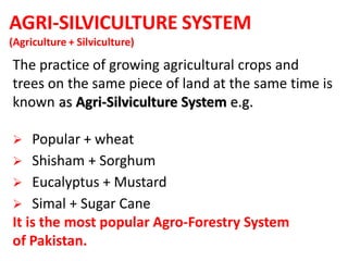Lecture No. 6- Agroforestry Systems W-23.pdf