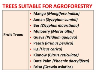 Lecture No. 6- Agroforestry Systems W-23.pdf