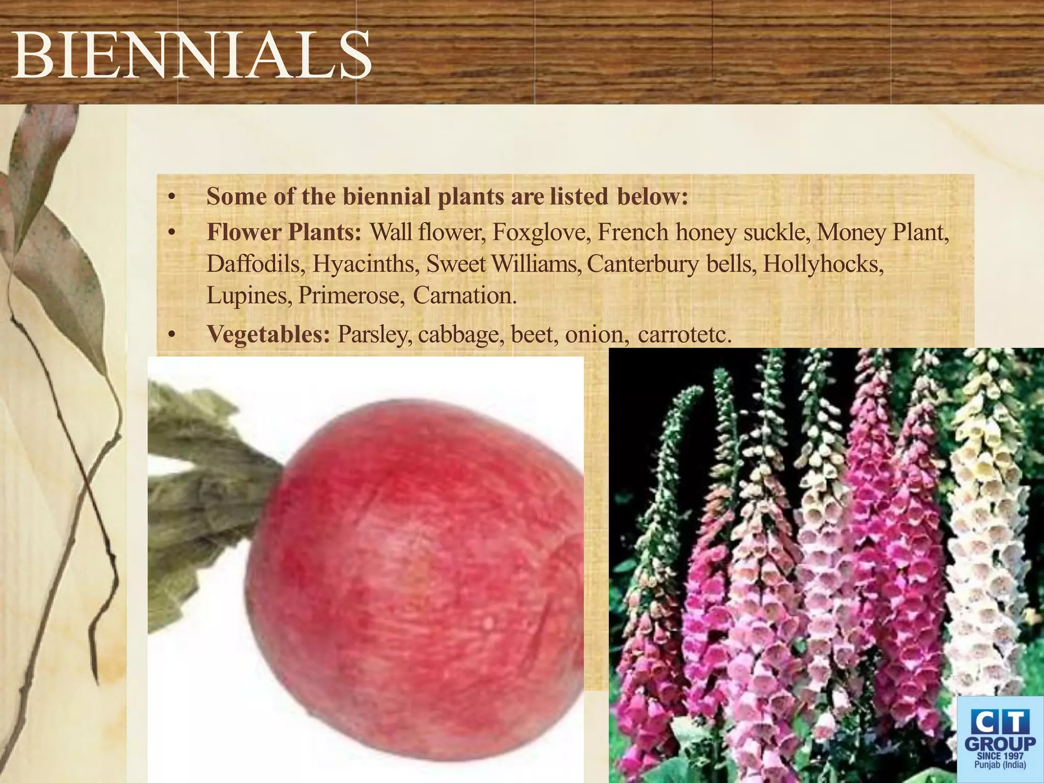 L-6 landscape architecture ANNUALS,BEINNIALS,PERINNIALS.pdf