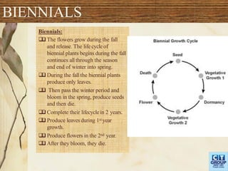L-6 landscape architecture ANNUALS,BEINNIALS,PERINNIALS.pdf