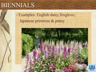 L-6 landscape architecture ANNUALS,BEINNIALS,PERINNIALS.pdf