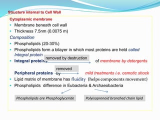 Size, shape and arrangement of bacterial cell | PPTX