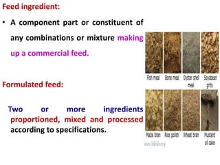 L-8, Fish nutrition.pptx