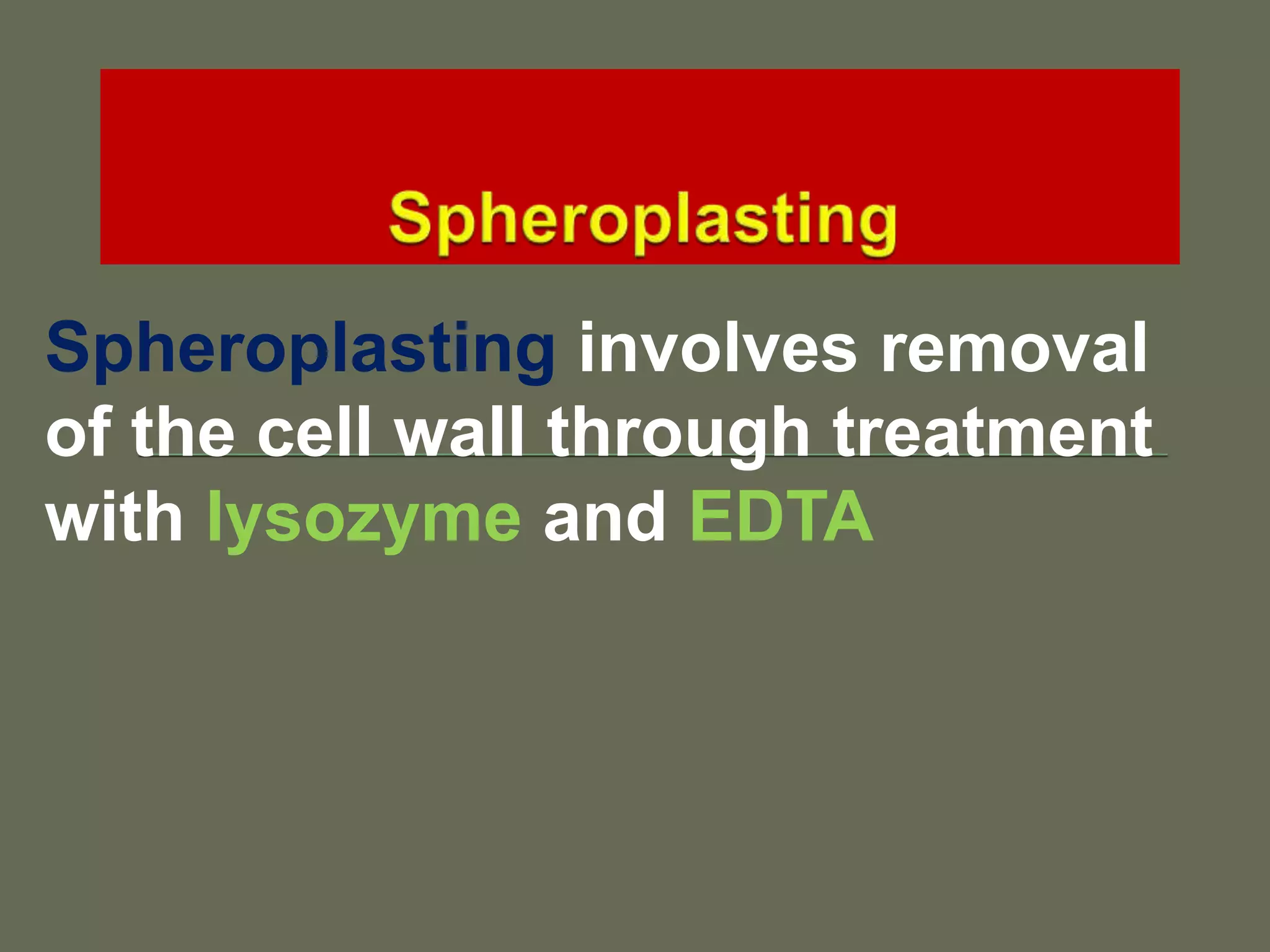 L-forms bacteria, protoplast and spheroplasts Bacteria | PPTX