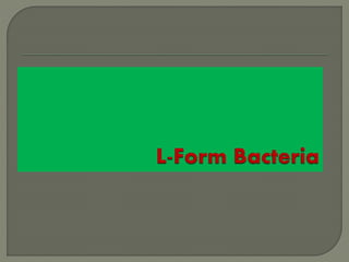 L-forms bacteria, protoplast and spheroplasts Bacteria | PPTX