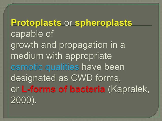 L-forms bacteria, protoplast and spheroplasts Bacteria | PPTX ...
