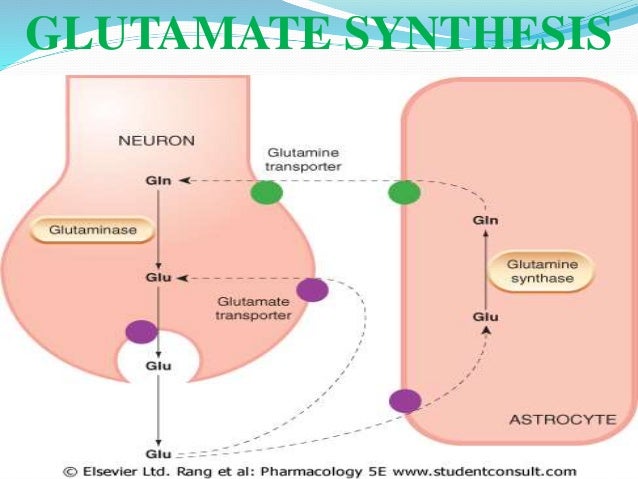 L-Glutamate