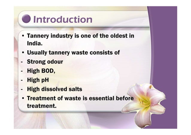 L tannery industry | PDF