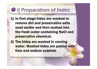 L tannery industry | PDF