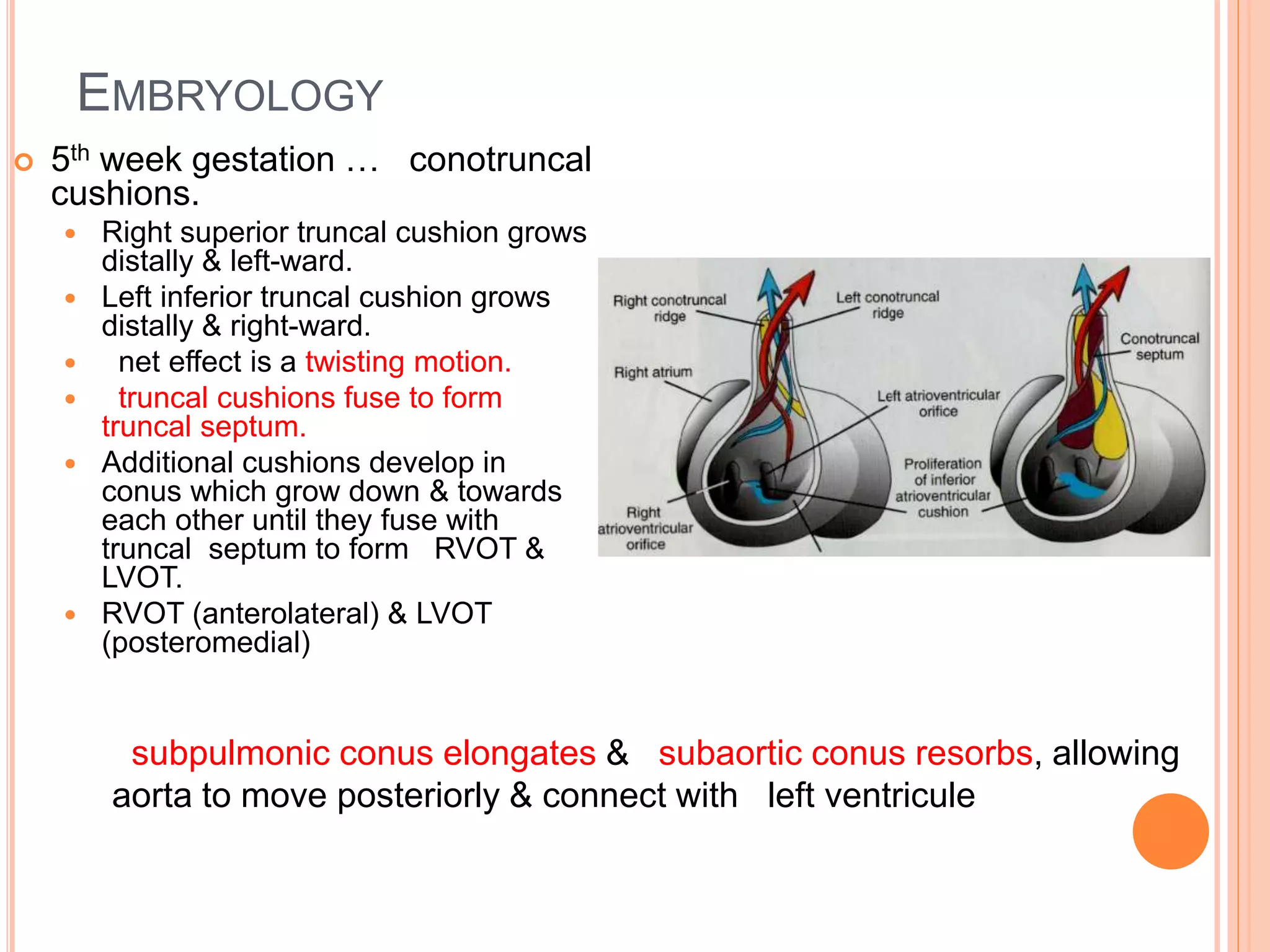 L-TGA or CCTGA | PPTX