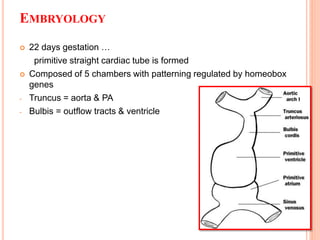 L-TGA or CCTGA | PPTX