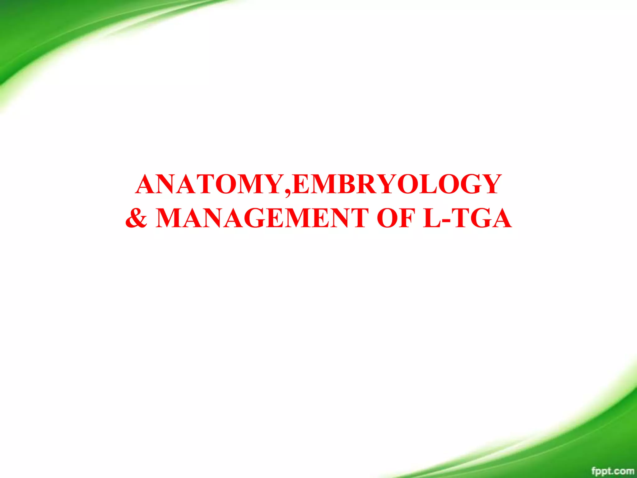L tga anatomy, management- | PPTX