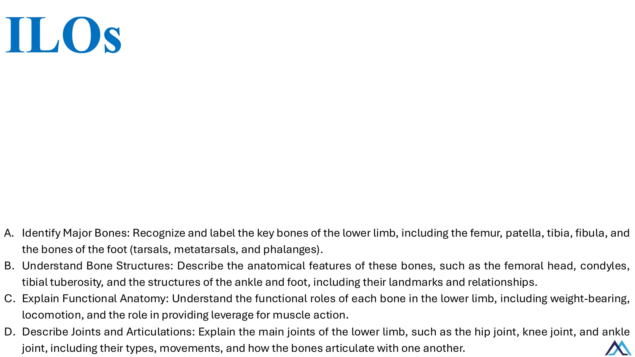 L003 Lower Limb Bone / Lower Limb Bone .pdf