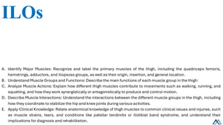 L004 Lower Limb Muscles of thigh / Lower Limb Muscles of thigh.pdf