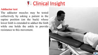 L004 Lower Limb Muscles of thigh / Lower Limb Muscles of thigh.pdf
