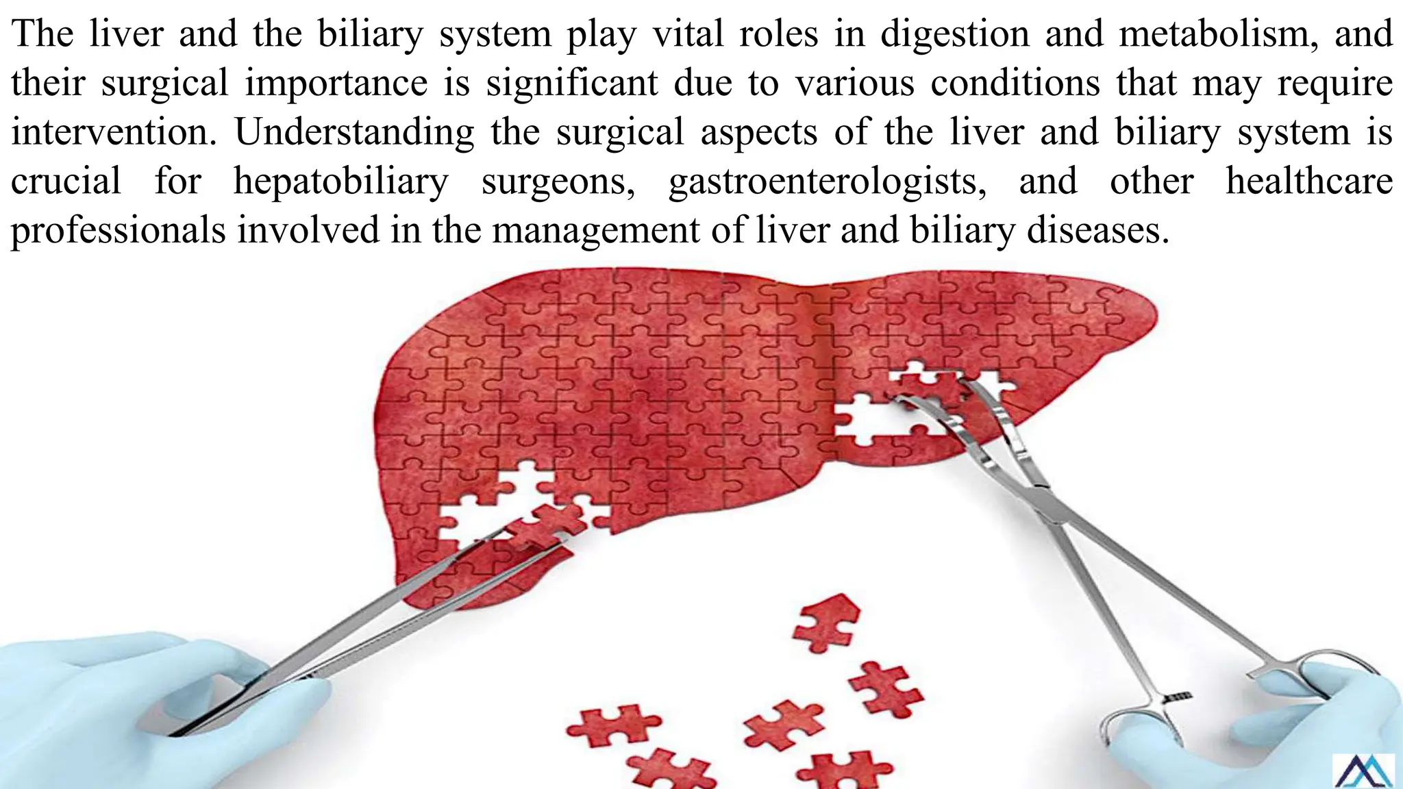 Liver biliary system / Liver biliary system.pdf