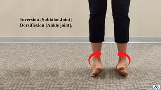 L006 Lower Limb Muscles of leg / Lower Limb Muscles of leg .pdf