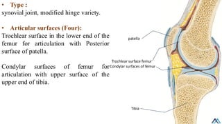 L008 Lower Limb Joints / Lower Limb Joints .pdf
