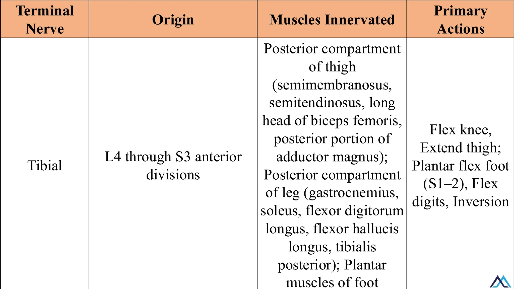 L009 Lower Limb Nerves / Lower Limb Nerves.pdf