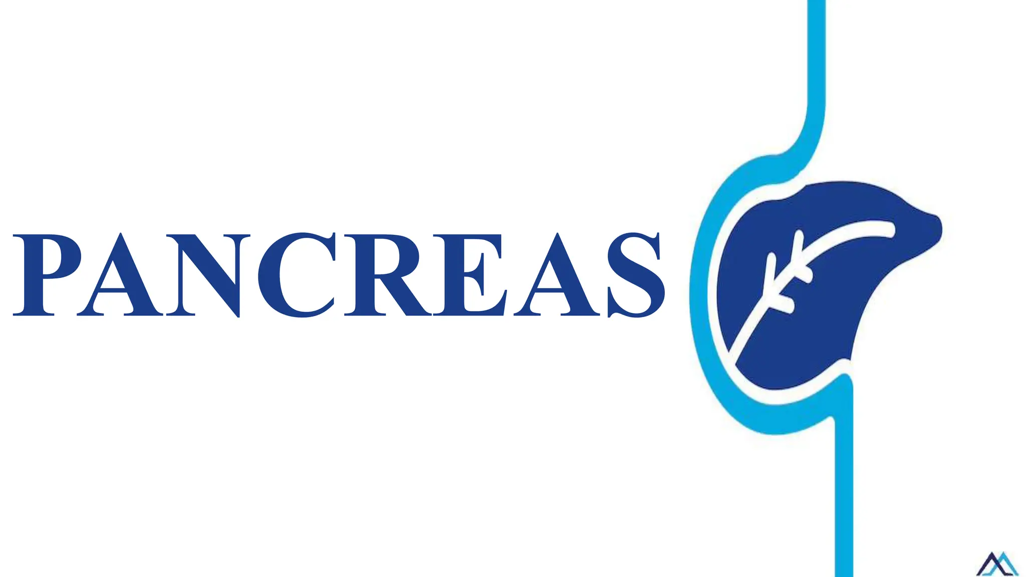 Pancreas / Pancreas / Pancreas / Pancreas.pdf