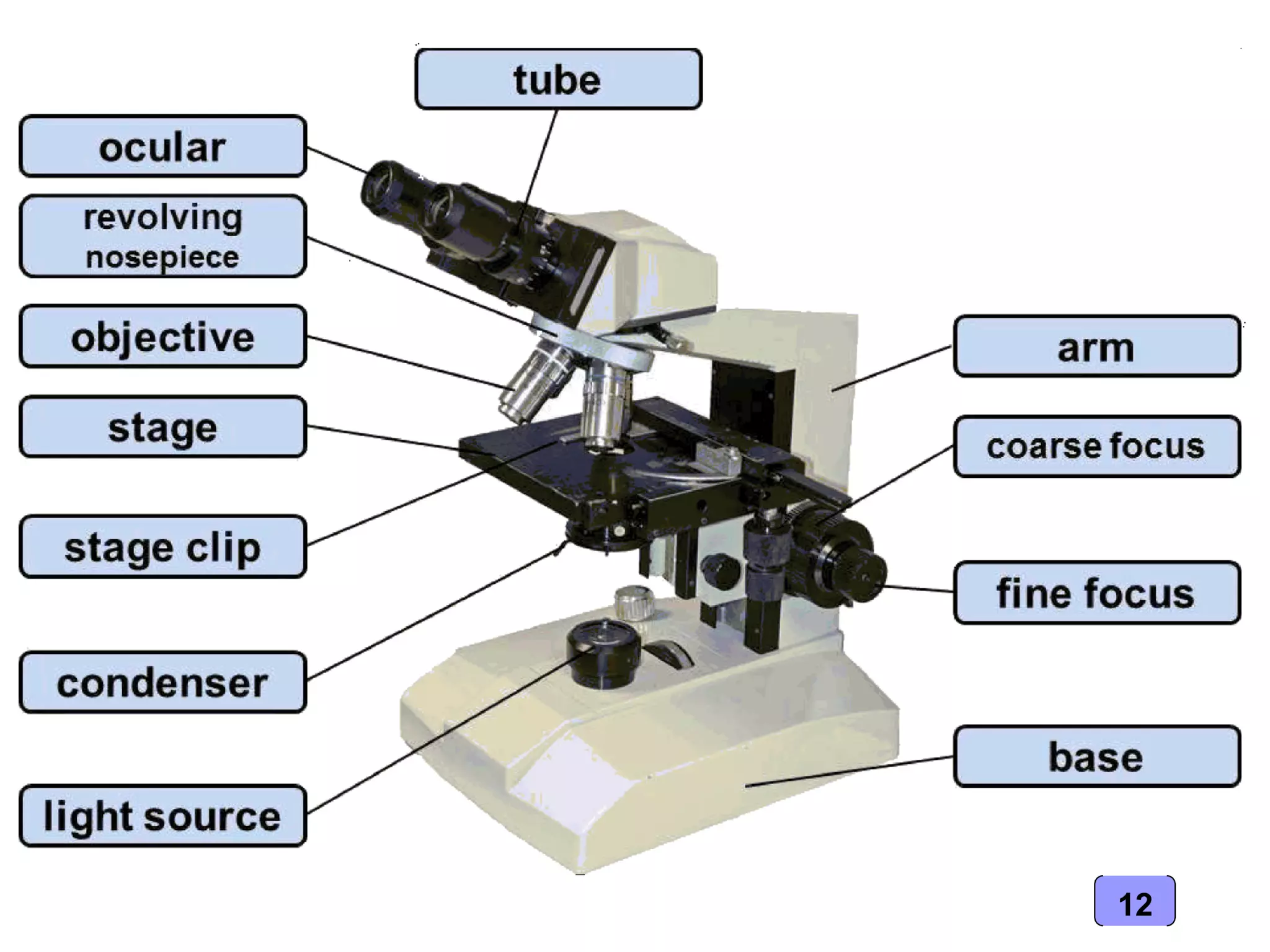 Medical Microbiology Laboratory (introduction & terminology) | PDF