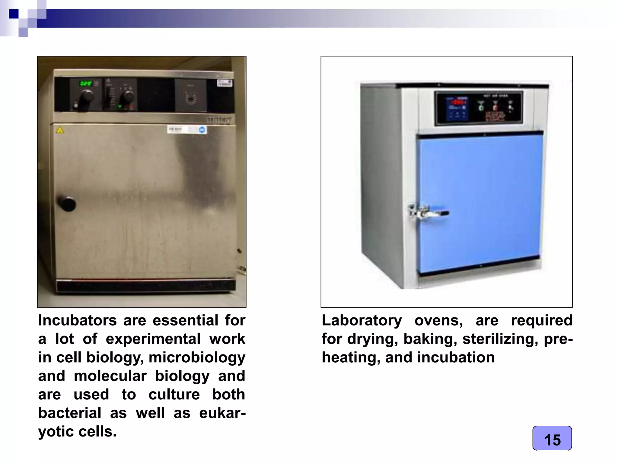 Medical Microbiology Laboratory (introduction & terminology) | PDF