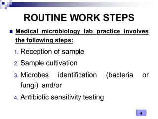 Medical Microbiology Laboratory (introduction & terminology) | PDF
