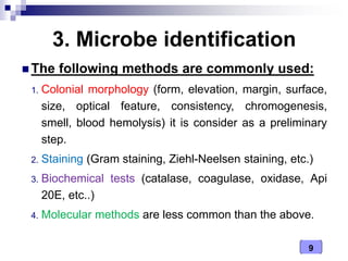 Medical Microbiology Laboratory (introduction & terminology) | PDF