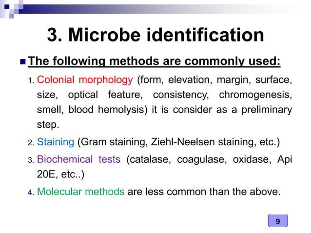Medical Microbiology Laboratory (introduction & terminology) | PDF ...