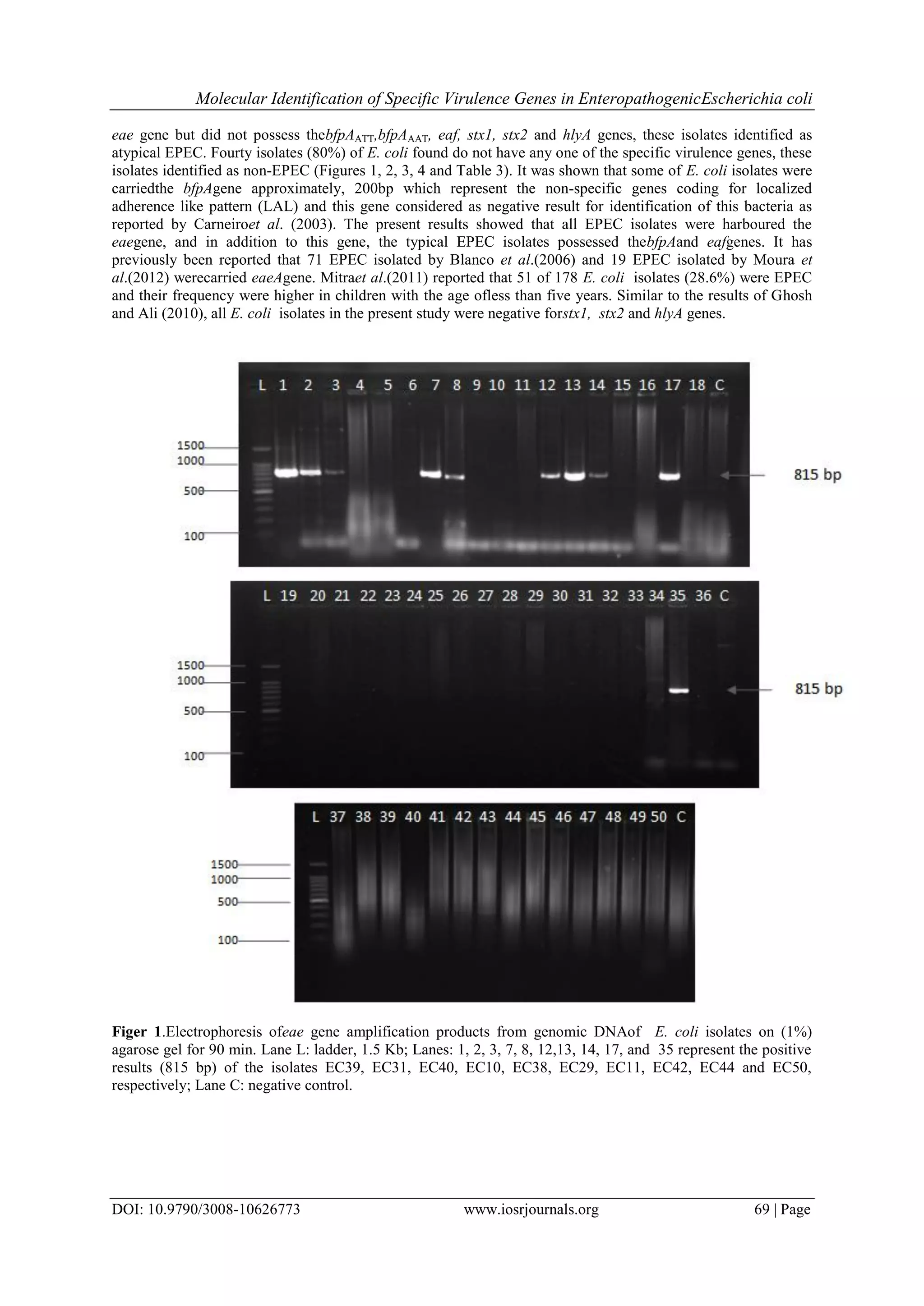 Molecular Identification of Specific Virulence Genes in ...