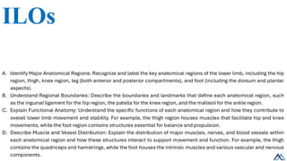 L011 Lower Limb Anatomical regions / Lower Limb Anatomical regions.pdf