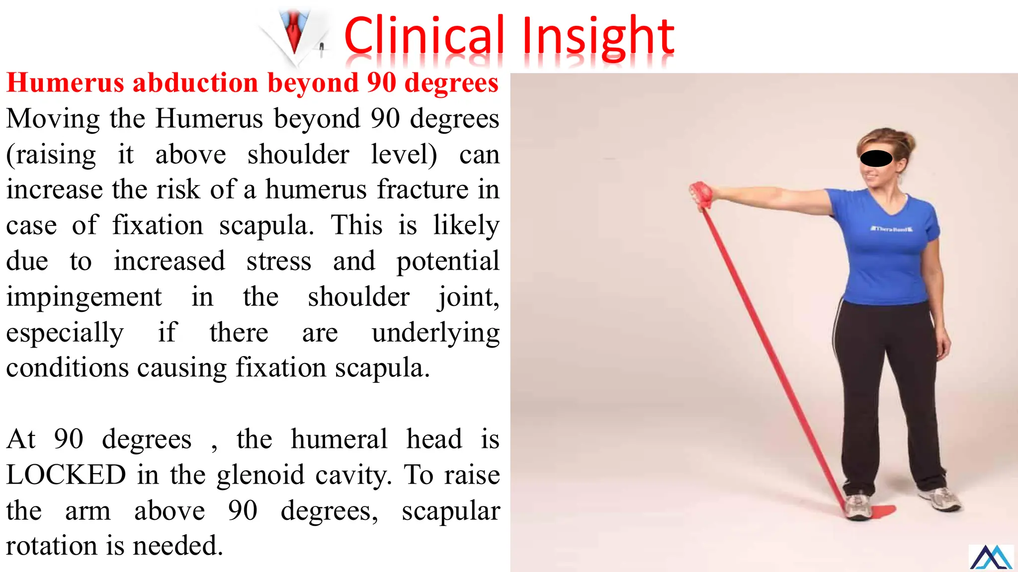 L013 Upper Limb Muscles of scapular, pectoral, deltoid.pdf