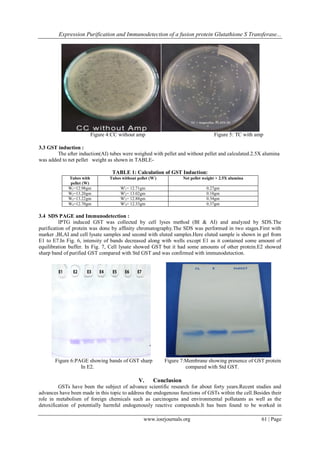 Expression Purification and Immunodetection of a fusion protein Glutathione S Transferase from ...