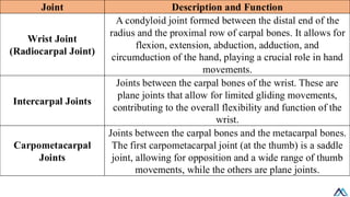 L017 Upper Limb Joints / Upper Limb Joints / Upper Limb Joints.pdf