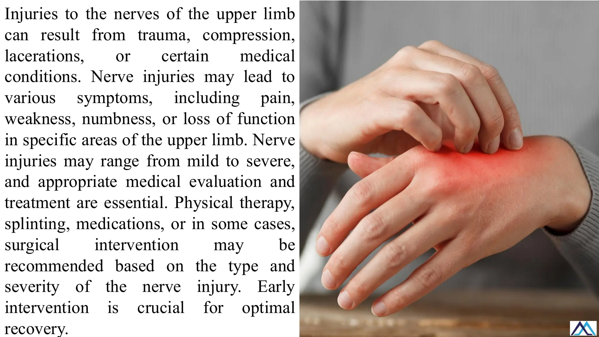 L018 Upper Limb Nerves /Upper Limb Nerves / Upper Limb Nerves.pdf