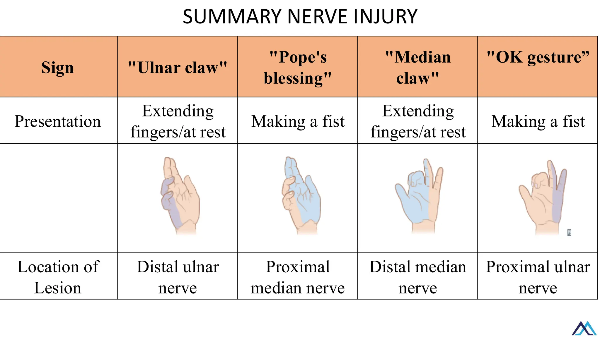 L018 Upper Limb Nerves /Upper Limb Nerves / Upper Limb Nerves.pdf