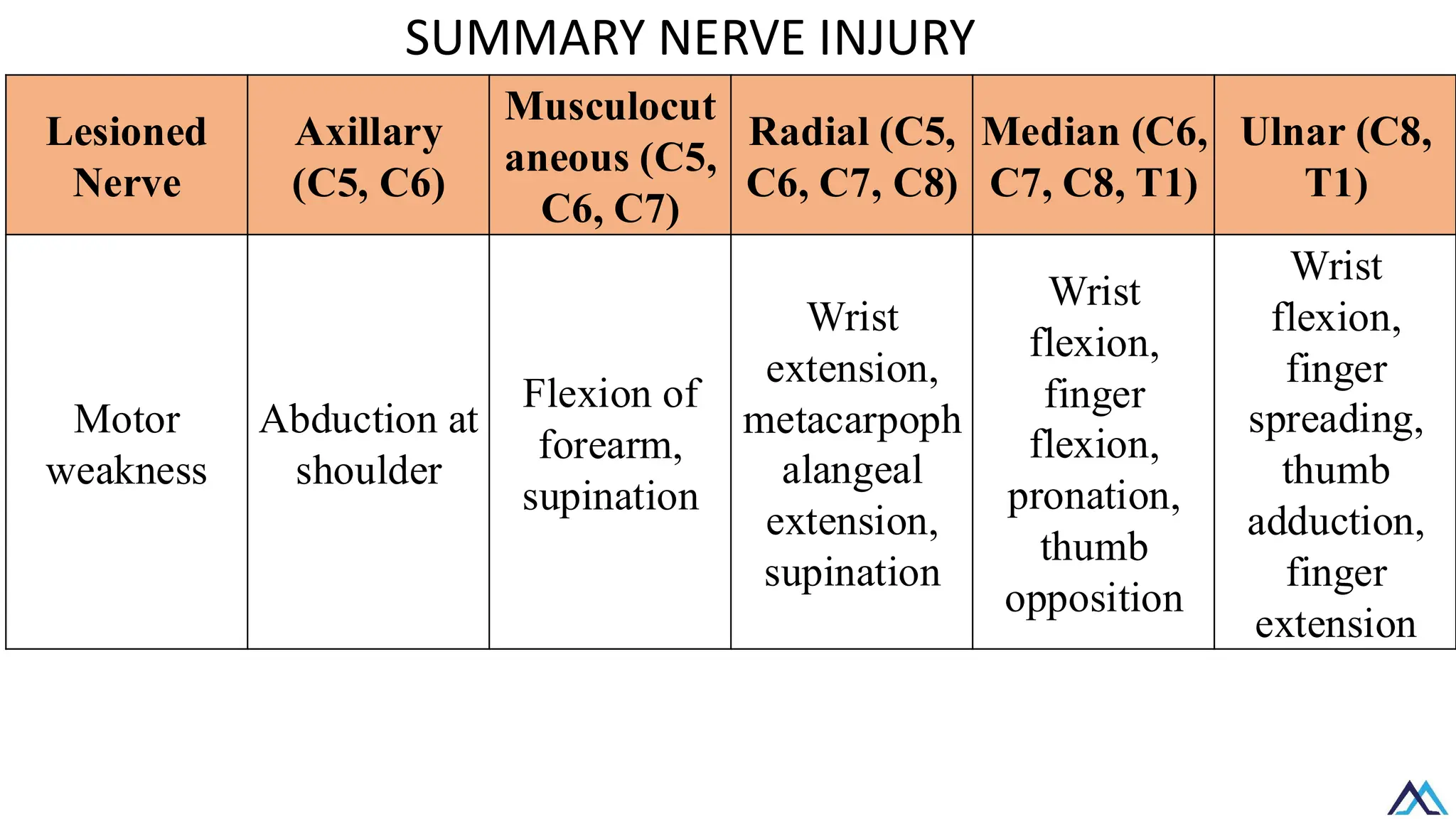 L018 Upper Limb Nerves /Upper Limb Nerves / Upper Limb Nerves.pdf