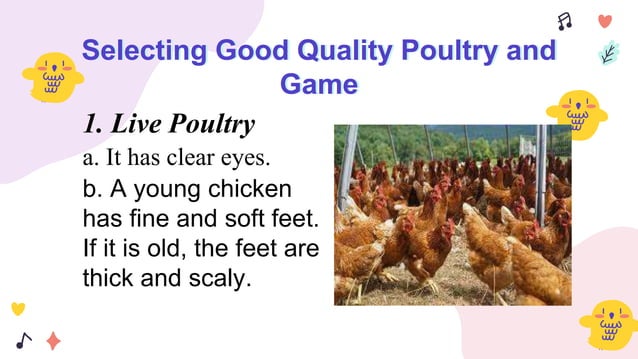 L01 POULTRY.pptx
