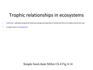 L02 Ecosystems Function | PPT | Geography | Science