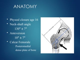 Femoral Neck Fractures presentation .pptx