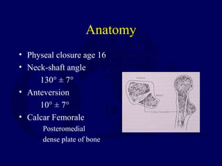 L02 femoral neck fx | PPT