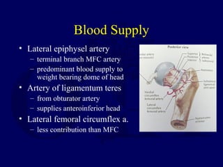 L02 femoral neck fx | PPT
