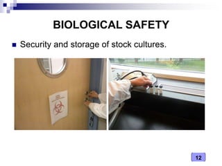 Medical Microbiology Laboratory (occupational safety) | PDF