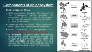L02 ecosystem function and structure | PPT
