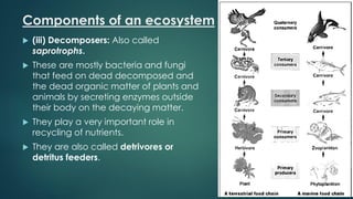 L02 ecosystem function and structure | PPT