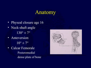 L02_Femoral_Neck_Fracture presentation.ppt