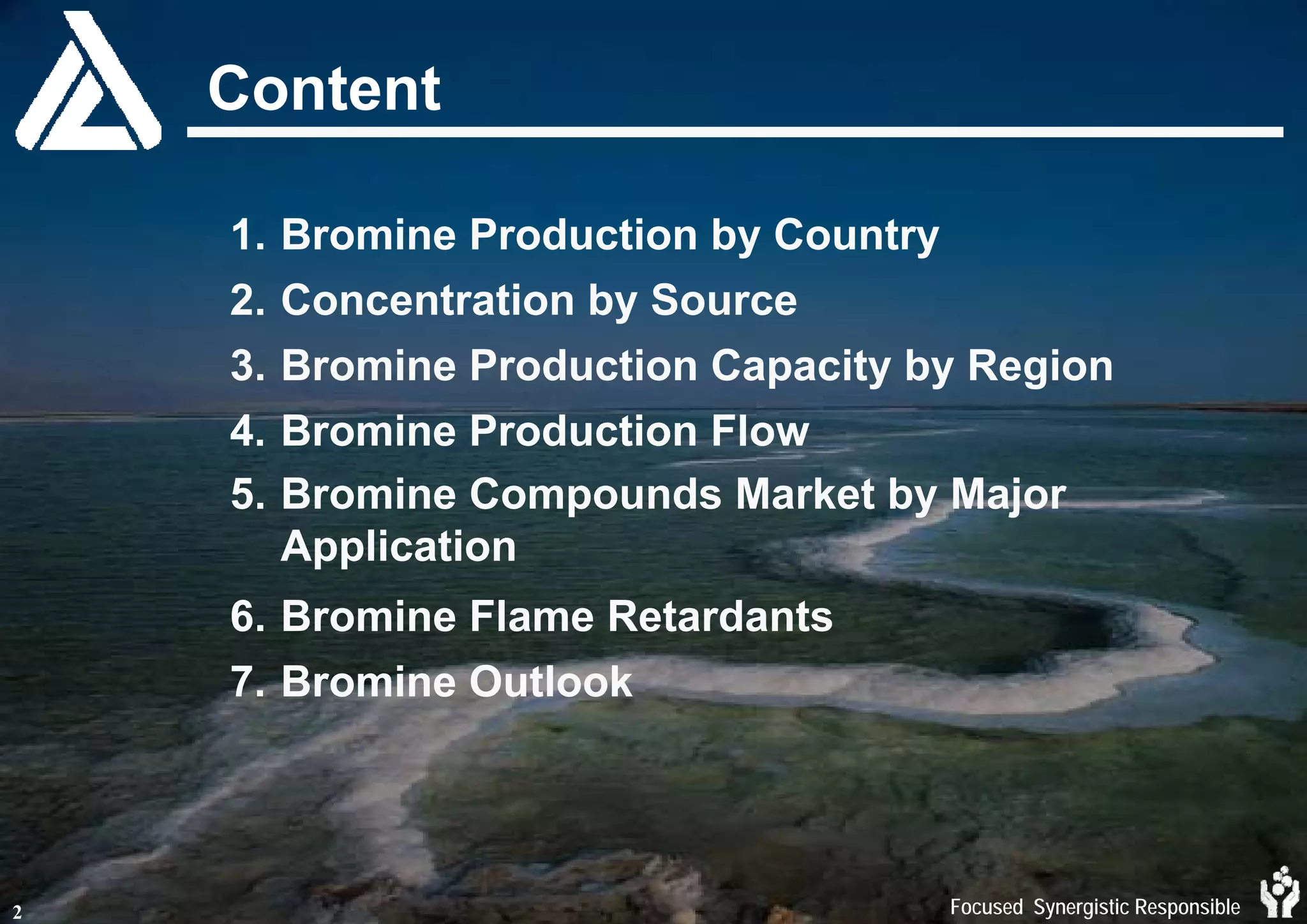 L02_Global Bromine Industry.pdf