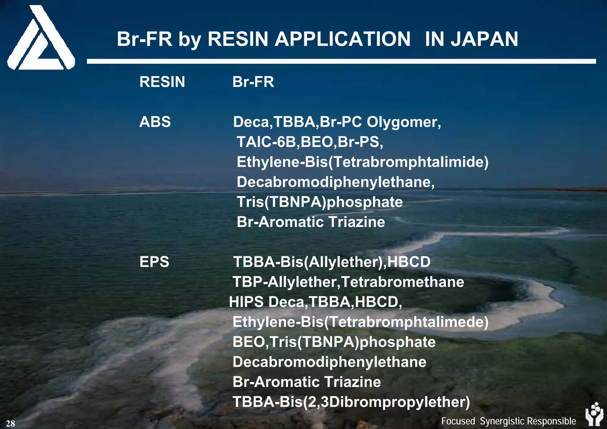L02_Global Bromine Industry.pdf