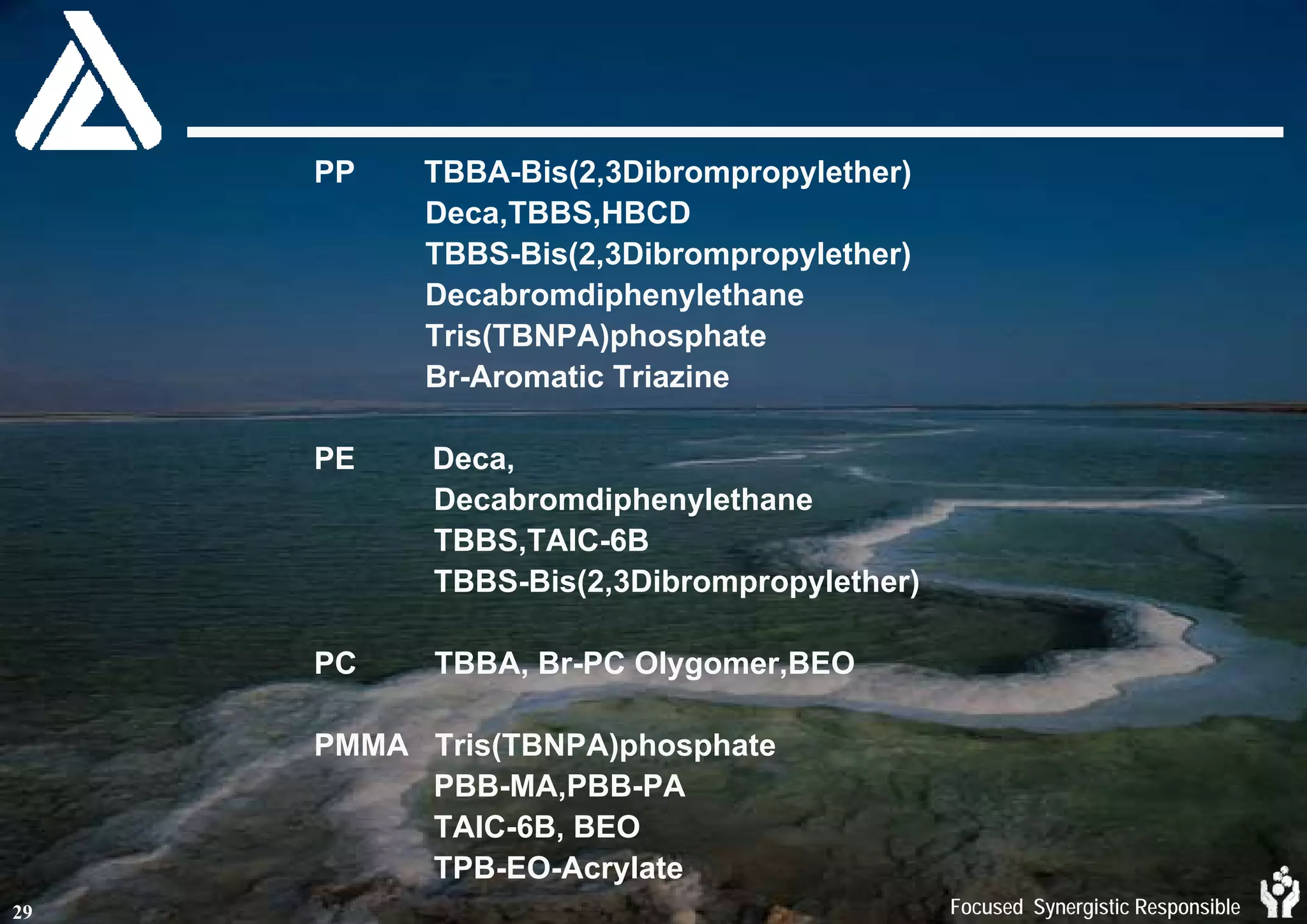 L02_Global Bromine Industry.pdf